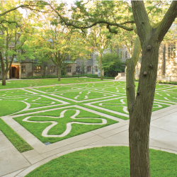 Przestrzeń publiczna w kampusie - Publiczne - Sztuka Krajobrazu